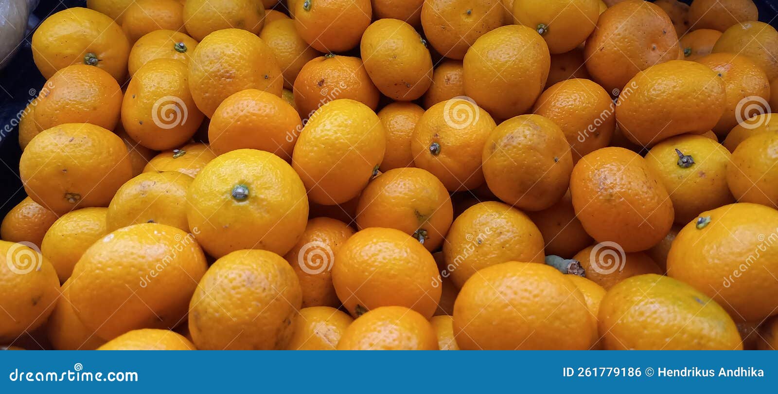 A Collection of Many Small Oranges in a Container Stock Photo - Image ...