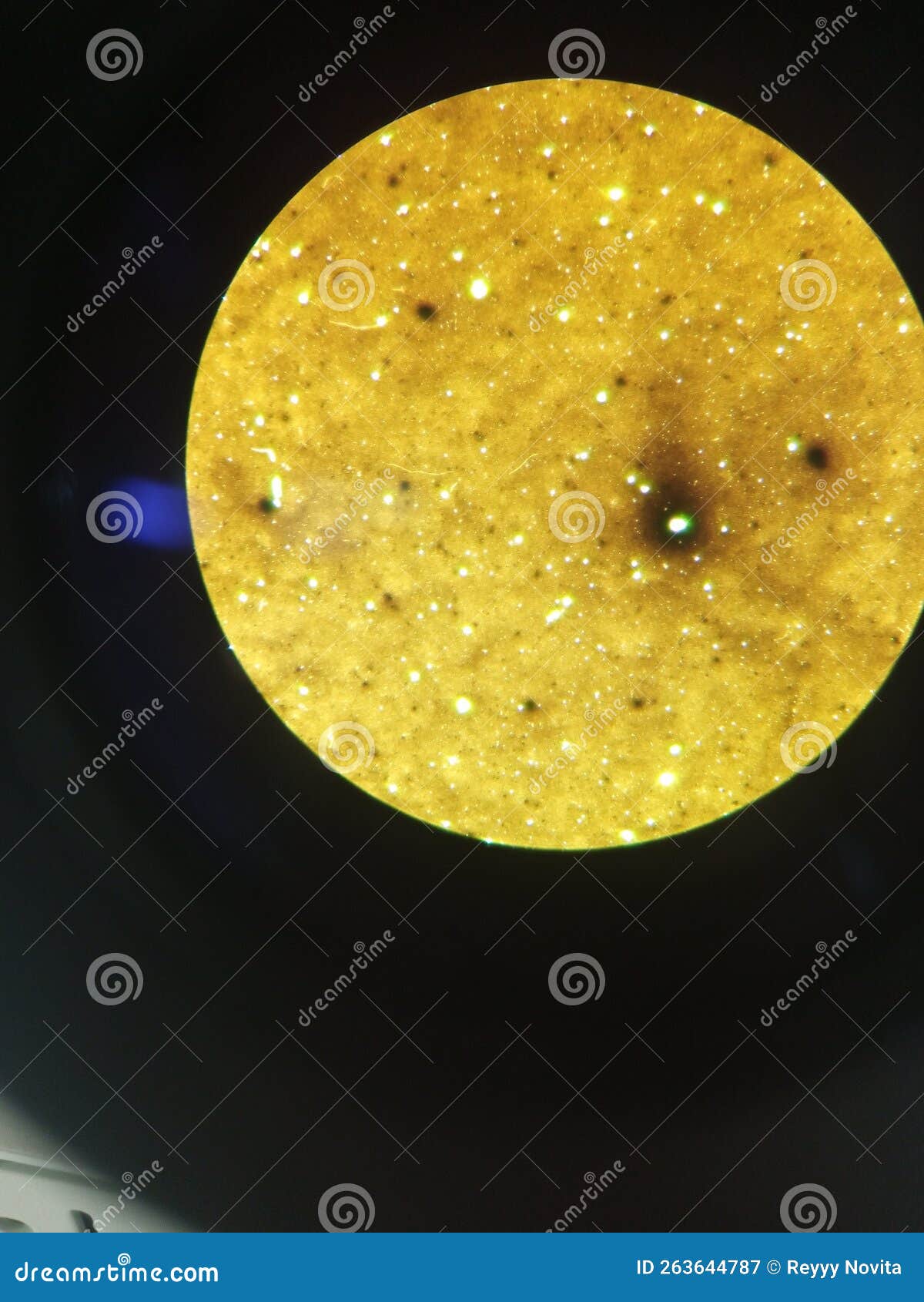 Many Bacteria Close Up Under The Microscope Royalty-Free Stock Image ...