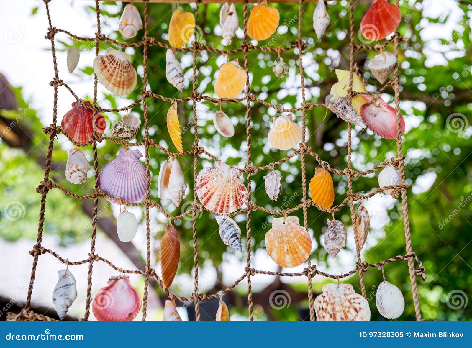 Collection of Marine Seashells Hanging on Grid Stock Image - Image of ...