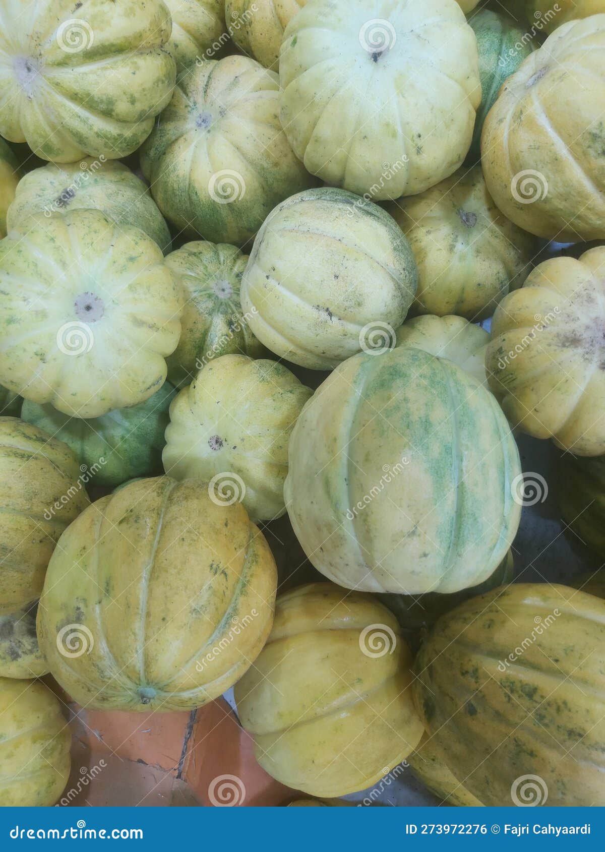 Collection of Melons in the Photo from Above Stock Photo - Image of ...