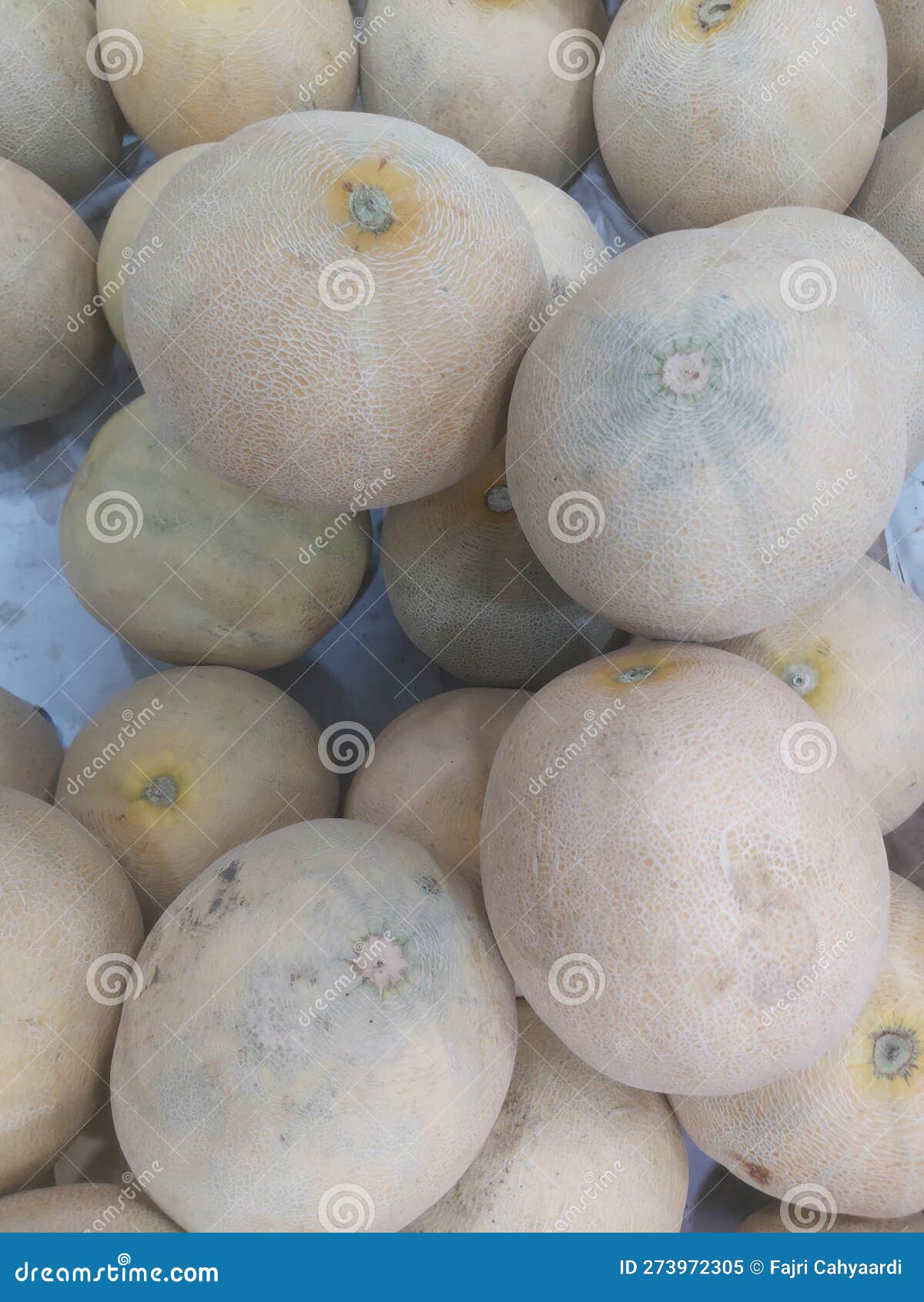 Collection of Melons in the Photo with High Angle Stock Image - Image ...