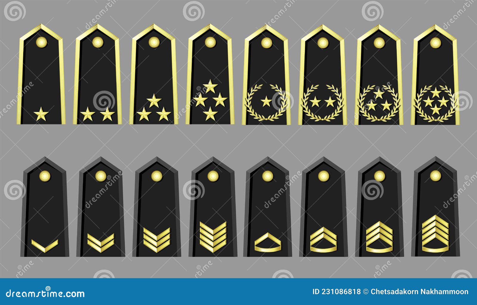 Collection of Military Ranks Isolated on White Background Stock Vector ...