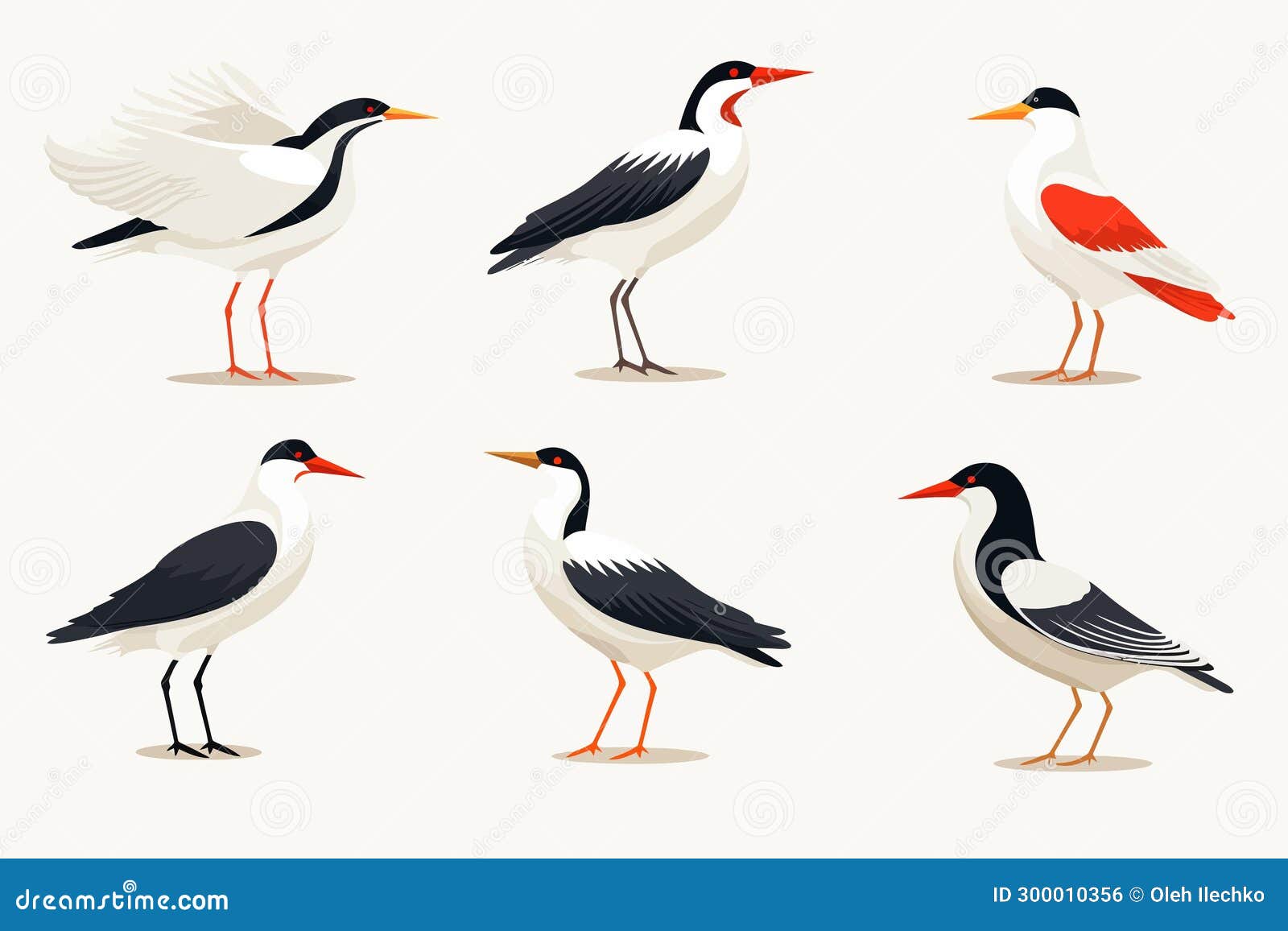 Collection of the Most Common Asian Birds Isolated Vector Style ...