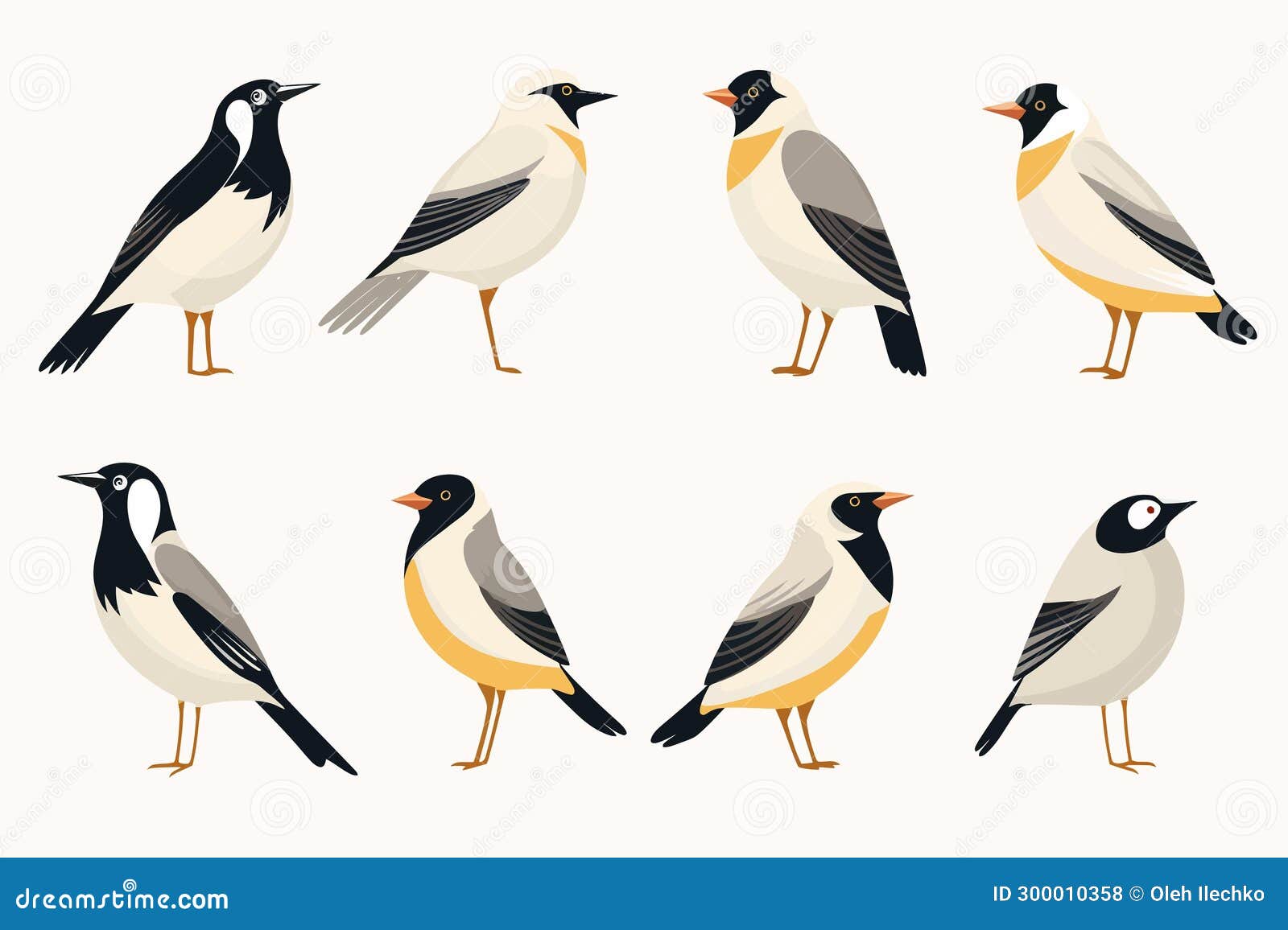 Collection of the Most Common Asian Birds Isolated Vector Style ...