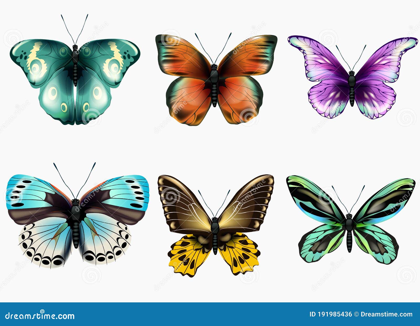 A Collection of Multi-colored Butterflies Stock Vector - Illustration ...