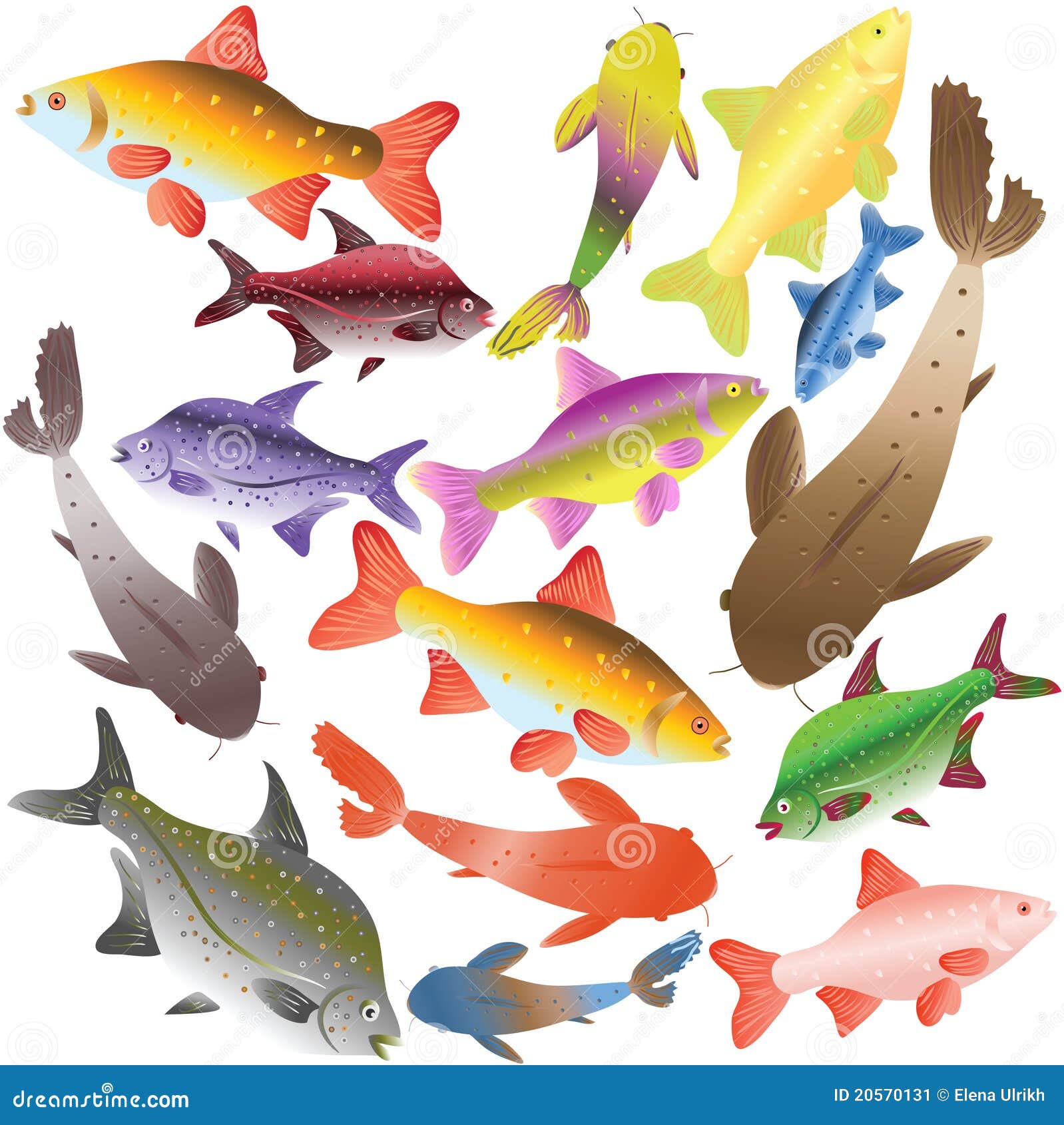 Collection of Multi-colored Fishes Stock Vector - Illustration of ...