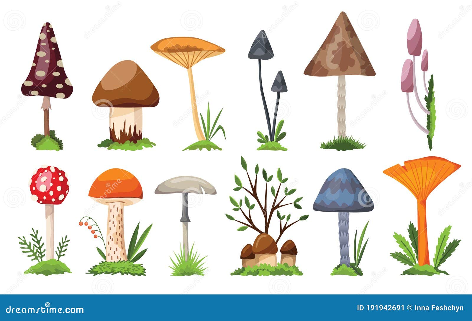 Collection Of Mushrooms And Toadstools Illustration Of The Different