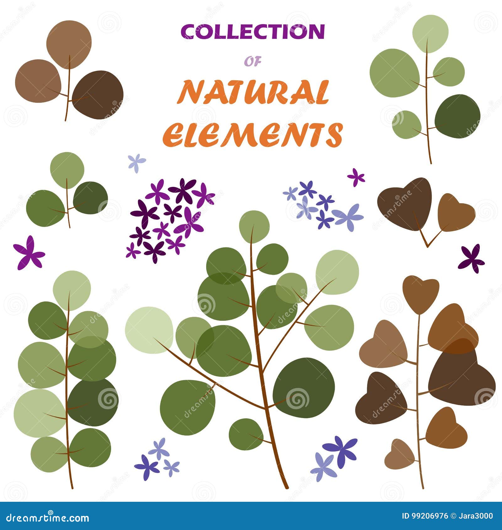 Collection of Natural Elements Stock Vector - Illustration of leaves ...