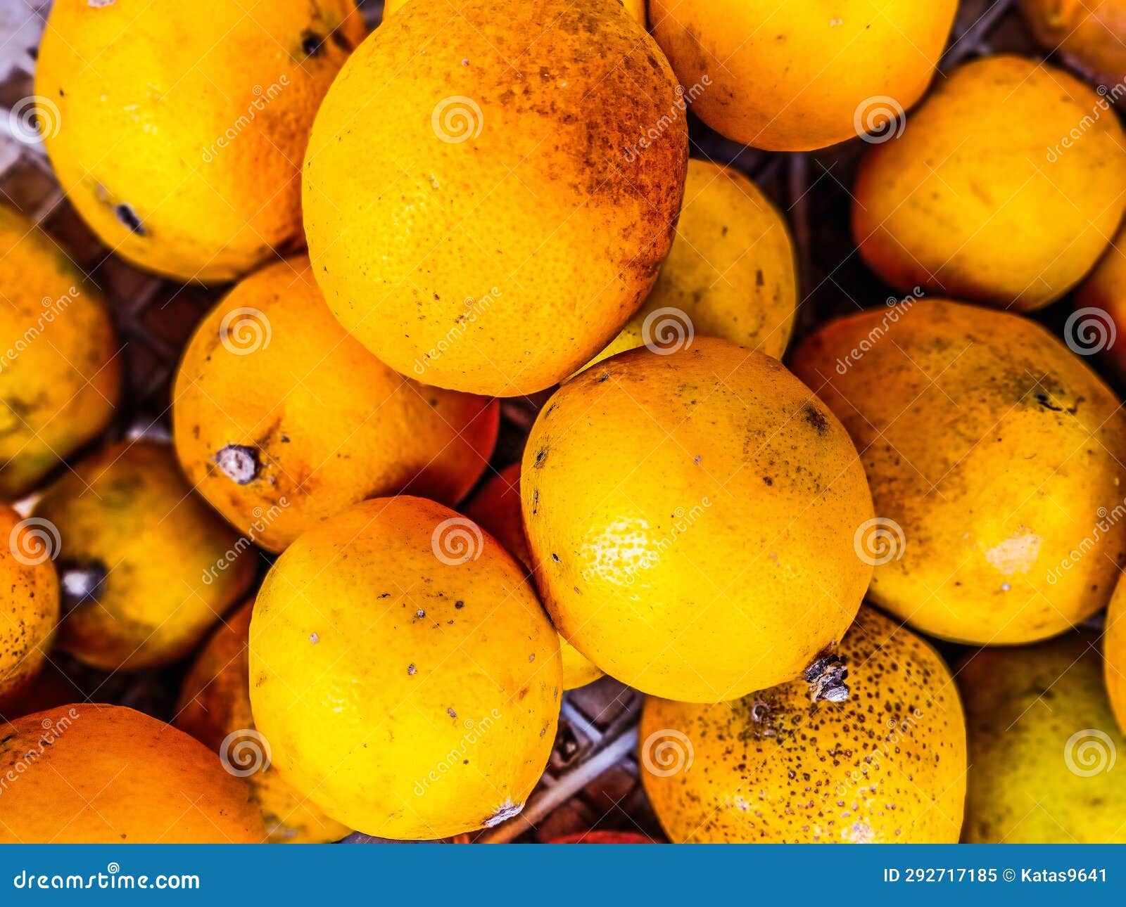 Collection of Natural Lemons of Various Sizes Stock Image - Image of ...