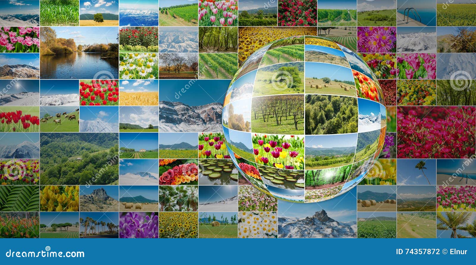 The Collection of Nature Photos in Collage Concept Stock Photo - Image ...