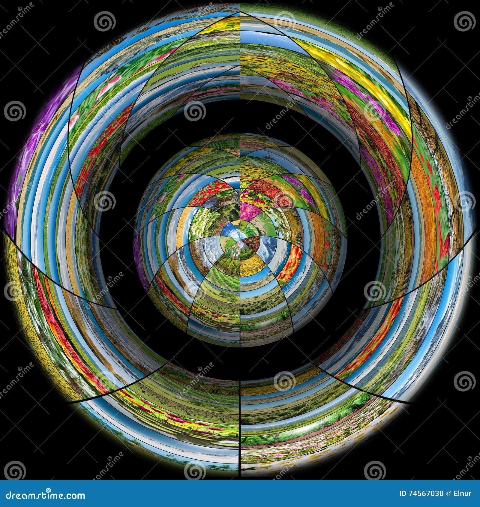 The Collection of Nature Photos in Collage Concept Stock Photo - Image ...