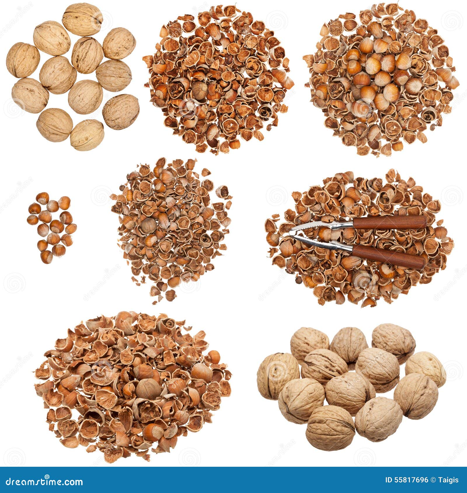 Collection of Nuts and Empty Nutshells Stock Photo - Image of dark ...