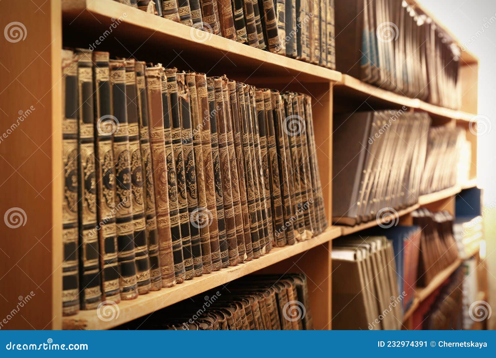 Collection of Old Books on Shelves in Library Stock Image - Image of ...