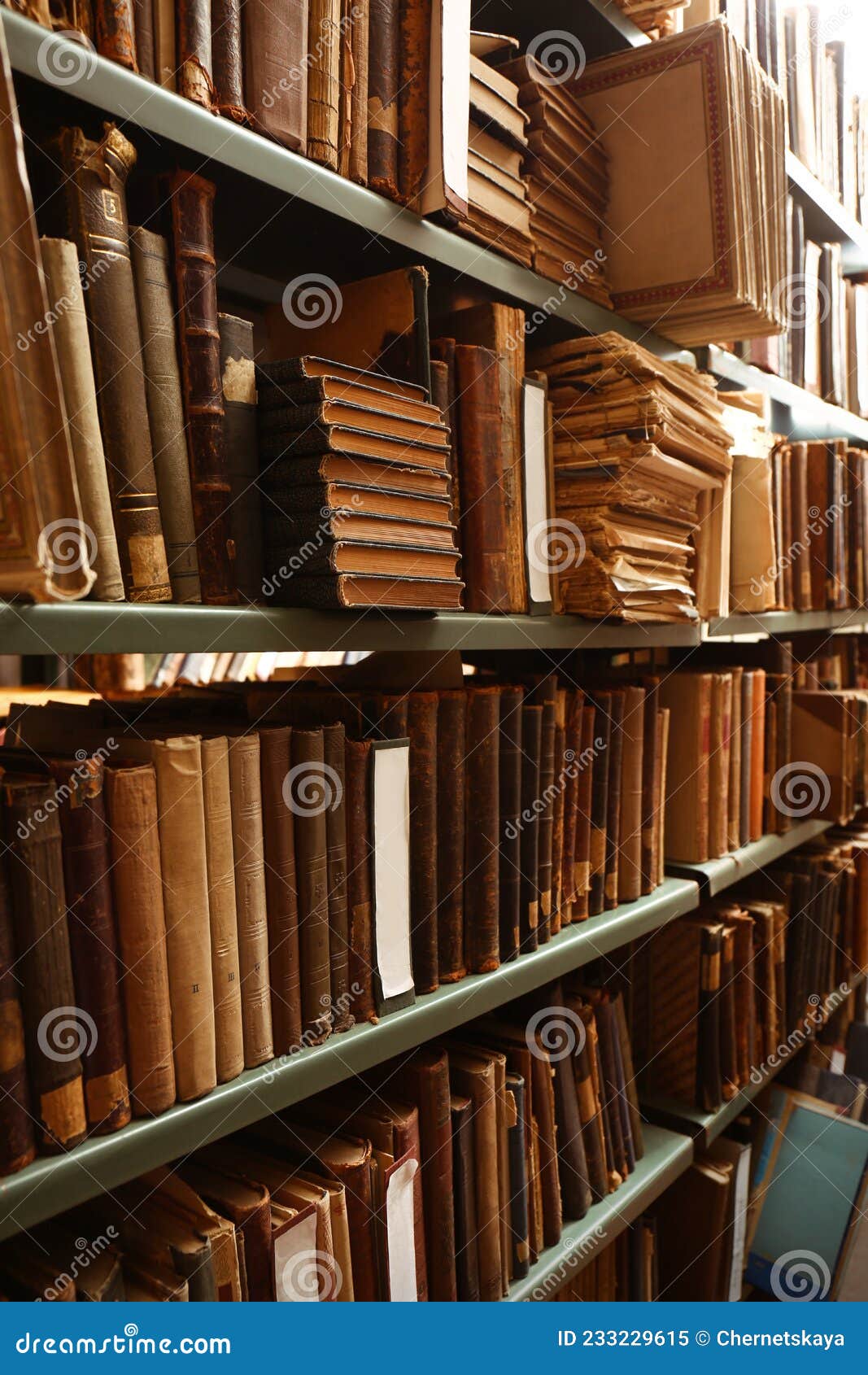 Collection of Old Books on Shelves in Library Stock Image - Image of ...