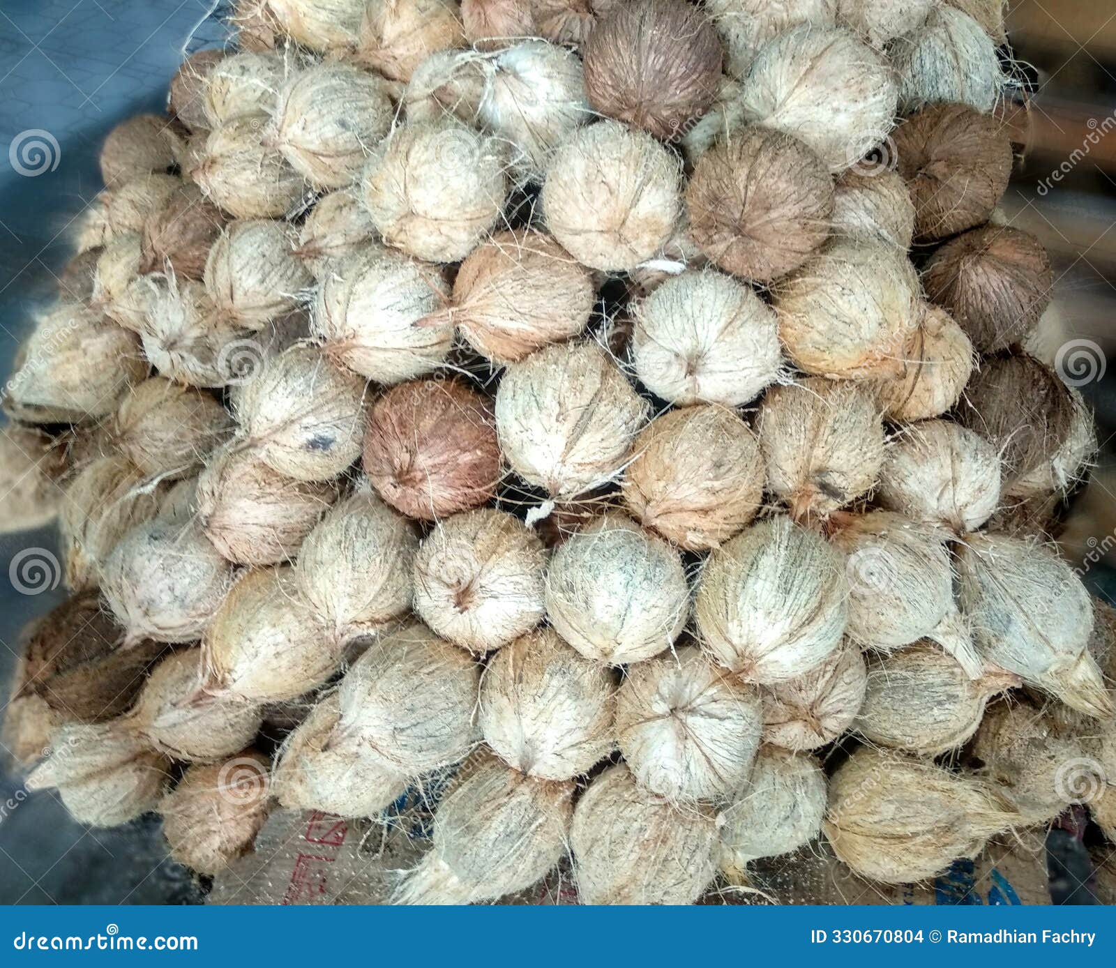 A Collection of Old Coconuts before Grated and Squeezed into Fresh ...