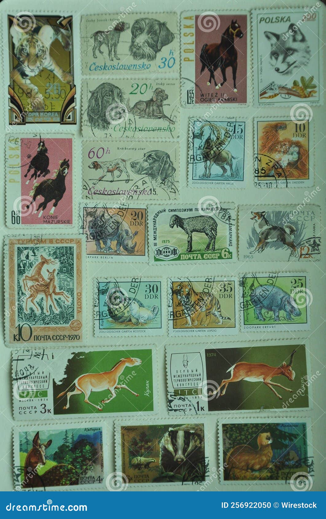 Collection of Old Stamps on a Board Editorial Image - Image of ...