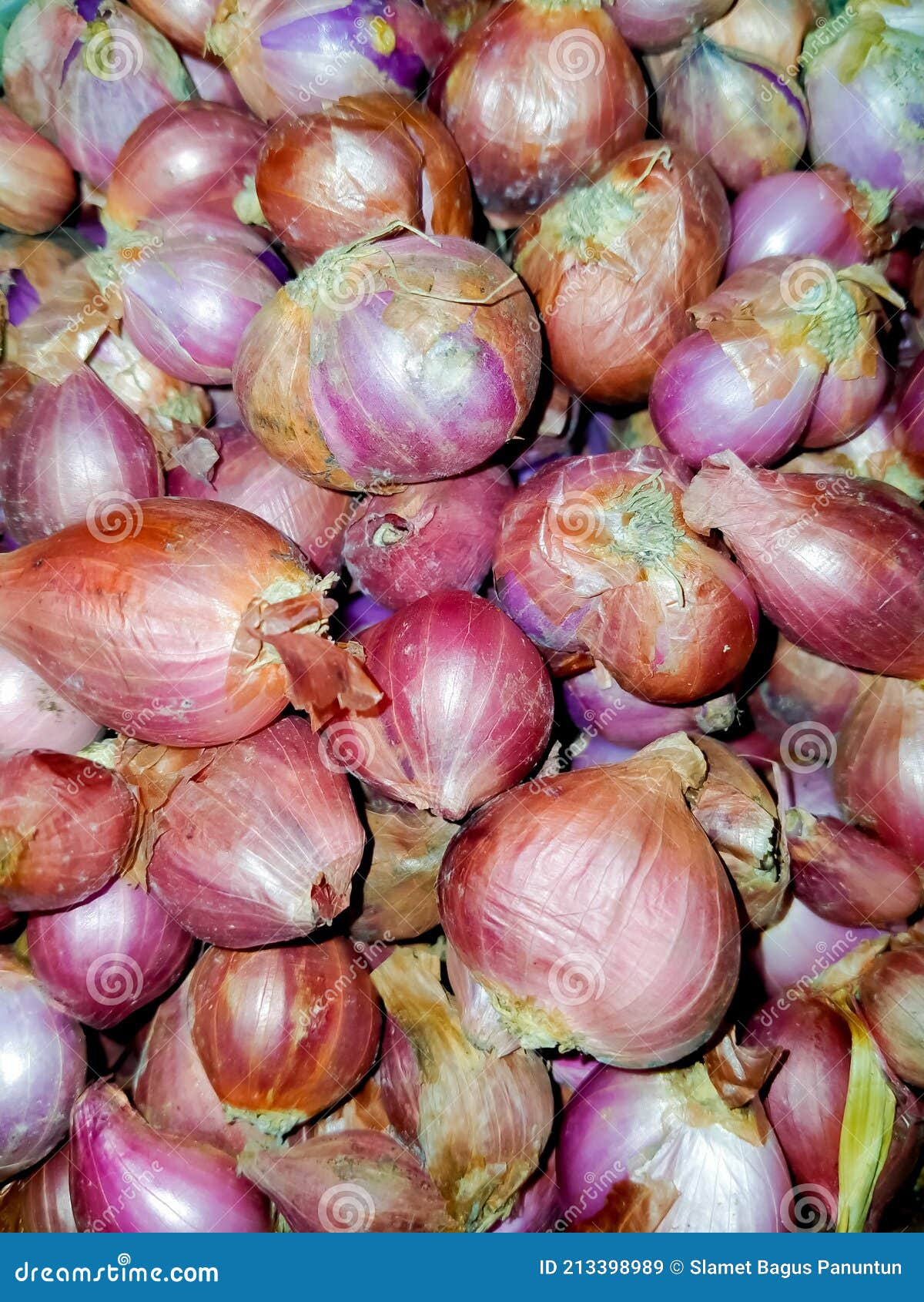 Collection of onions stock image. Image of onions, fruit - 213398989