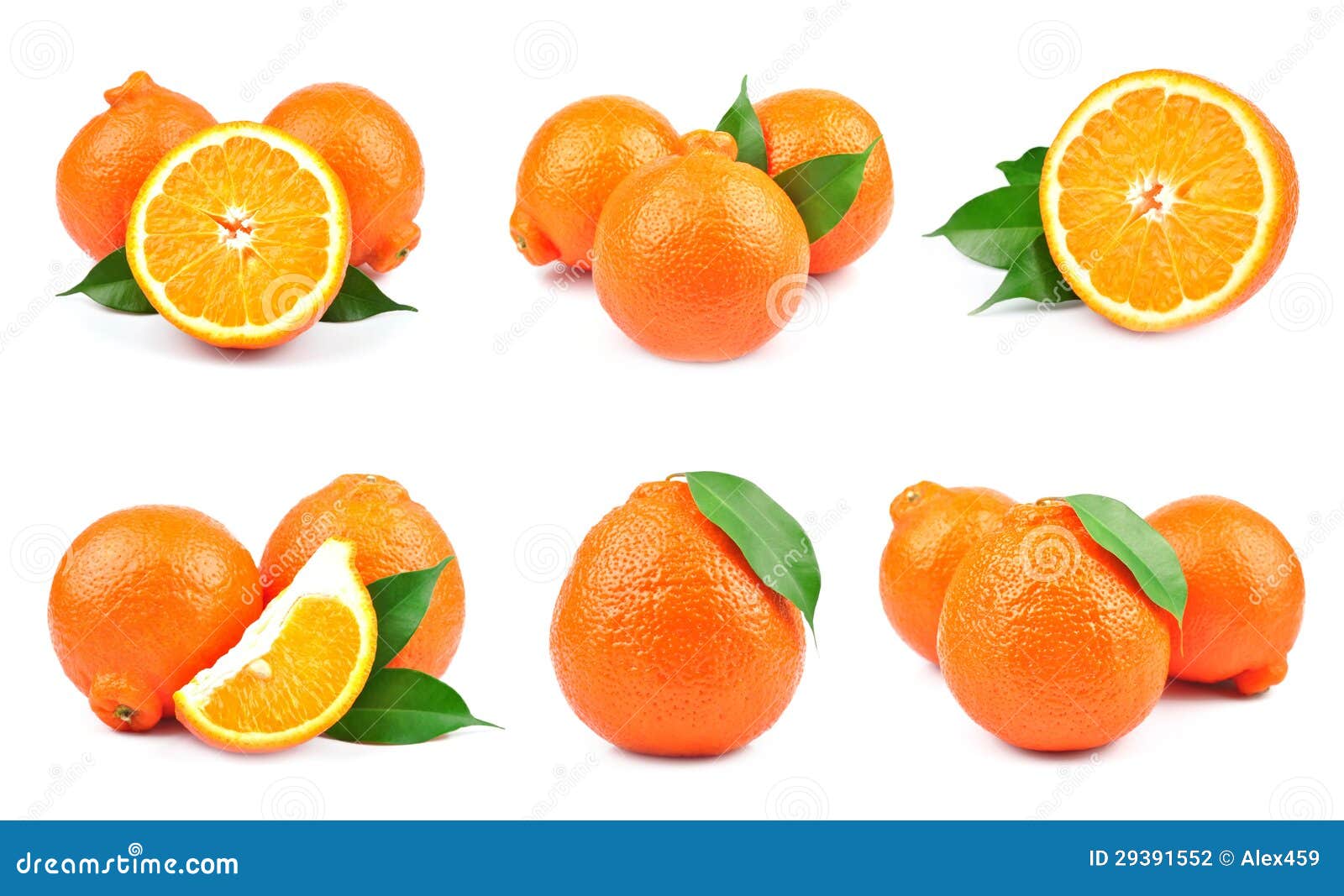 Collection orange stock photo. Image of food, sweet, nature - 29391552
