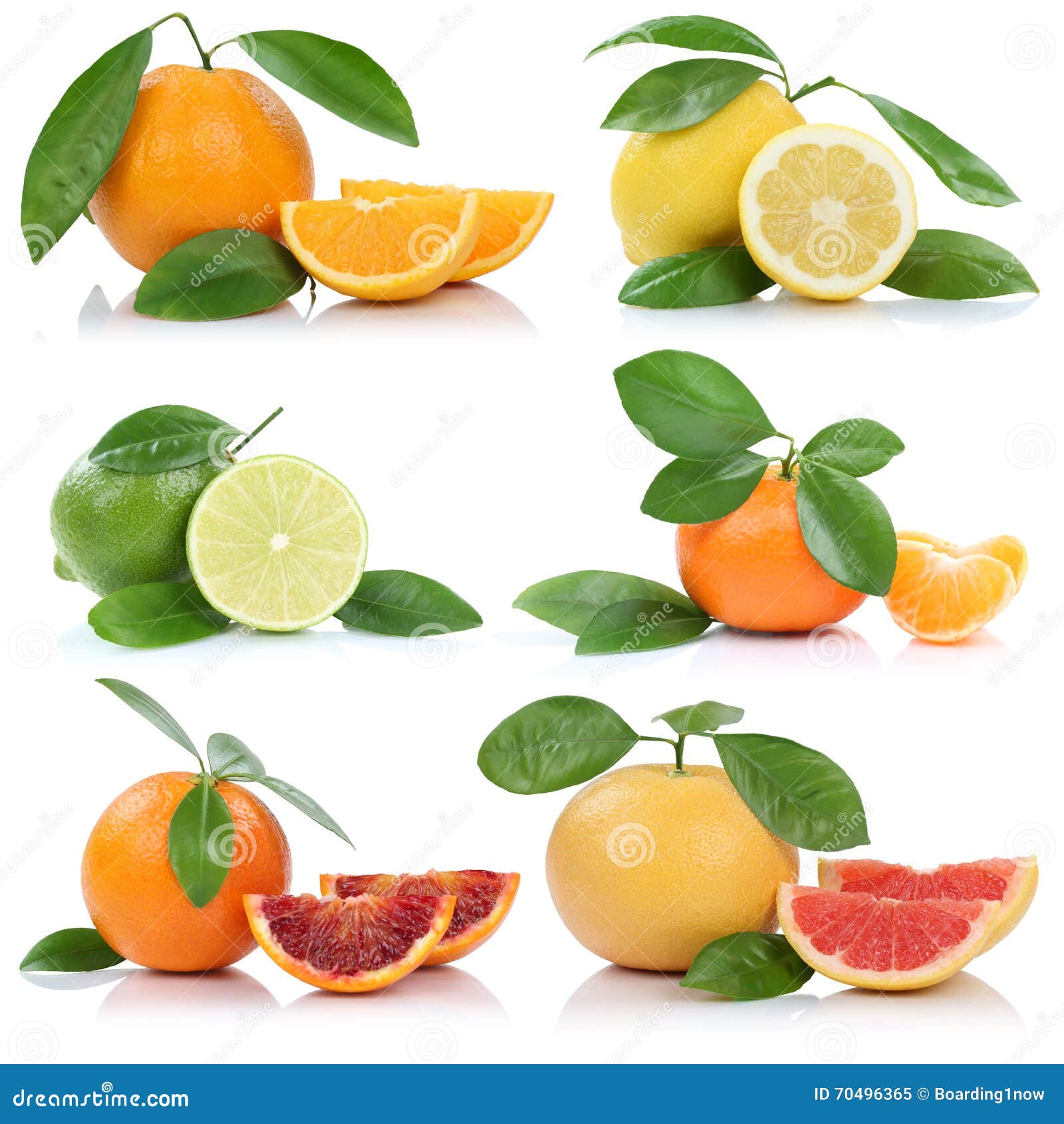 Collection of Oranges Mandarin Lemon Grapefruit Fruits Stock Image ...