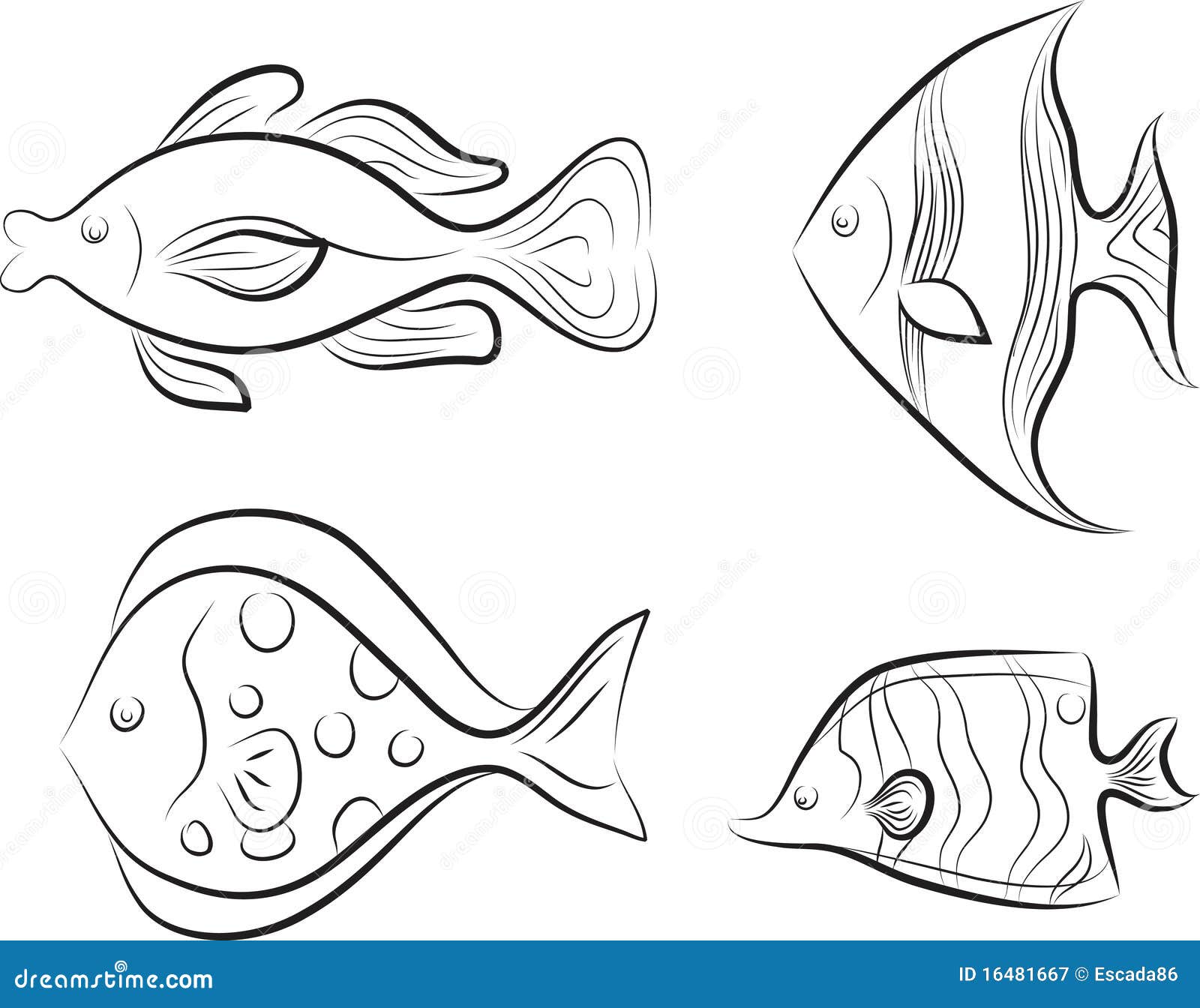 Collection of Original Stylised Fishes. Stock Vector - Illustration of ...