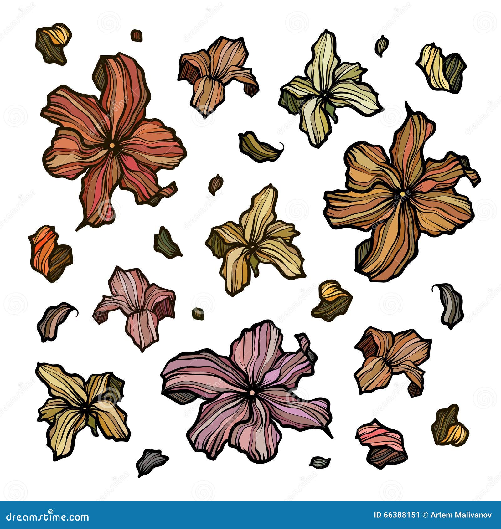 Collection of Outline Abstract Flowers Stock Vector - Illustration of ...