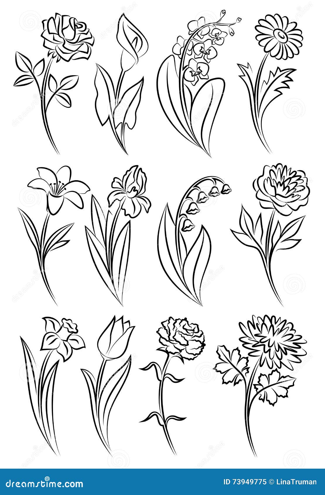 Collection of Outlined Flowers. Stock Vector - Illustration of line ...