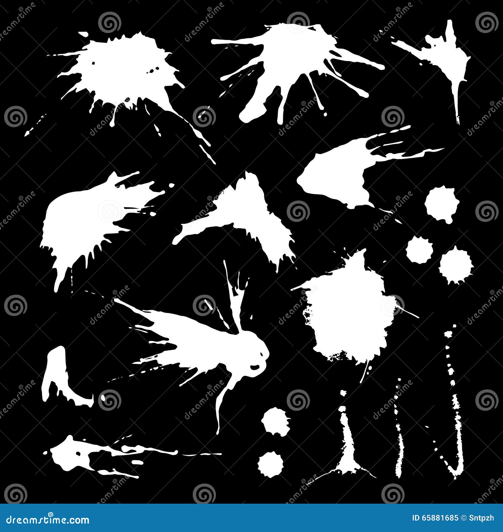 Collection of Paint Splash. Vector Set of Brush Strokes. on White ...