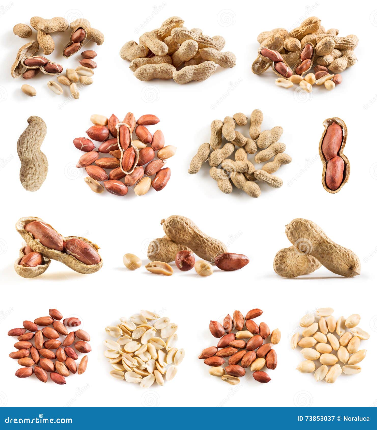 Collection of peanuts stock image. Image of dried, isolated - 73853037