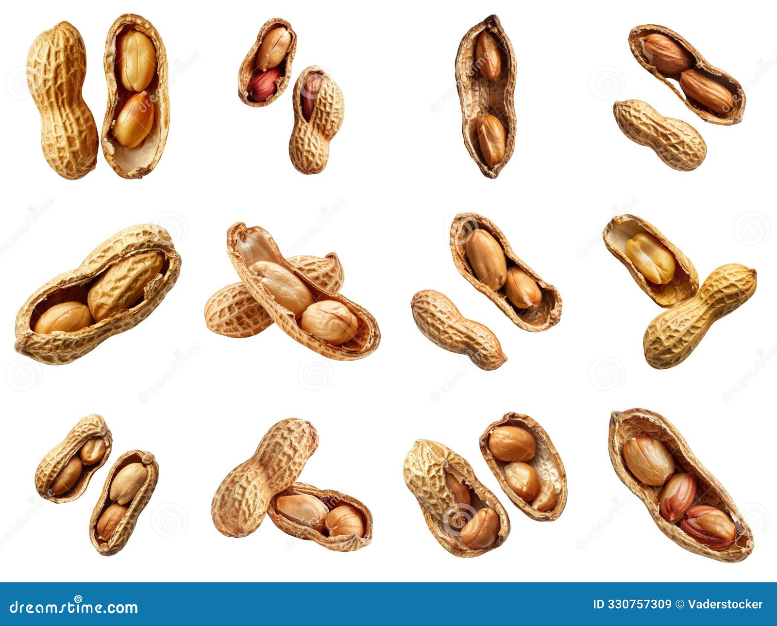 A Collection of Peanuts in Their Shells, Some Opened To Reveal the ...