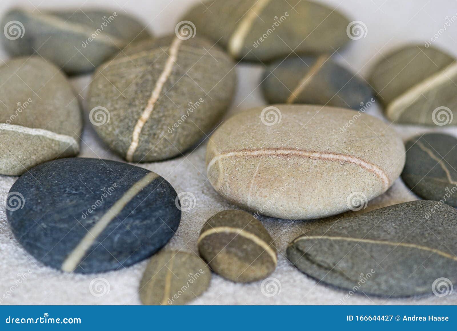 Collection of Pebble with White Line Stock Image - Image of nature ...
