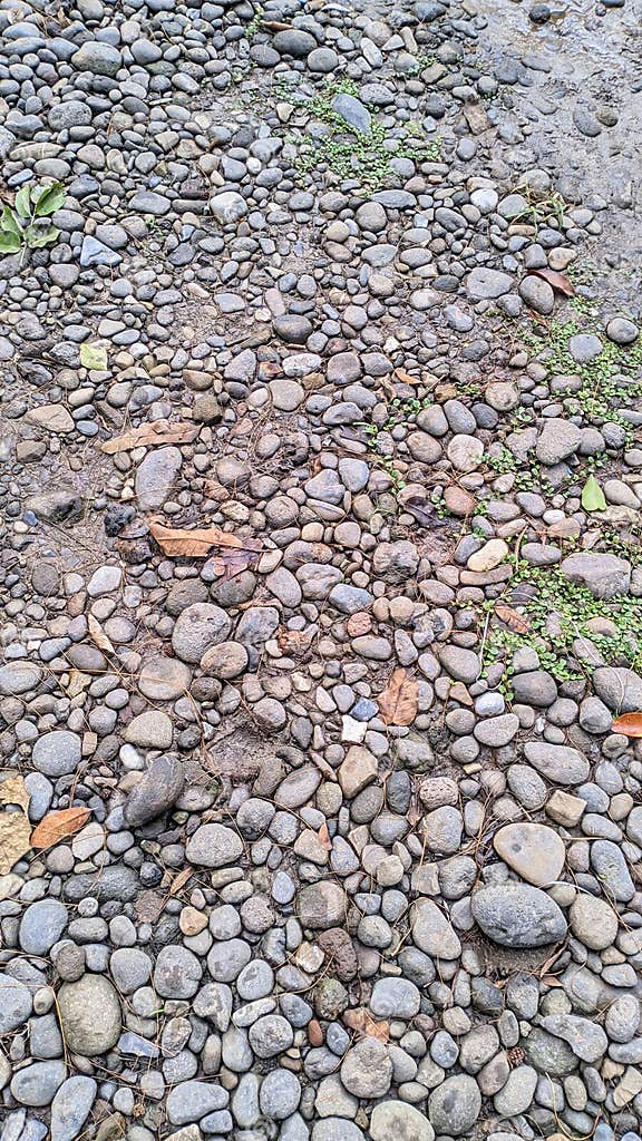 A Collection of Pebbles Covering the Ground Stock Image - Image of ...