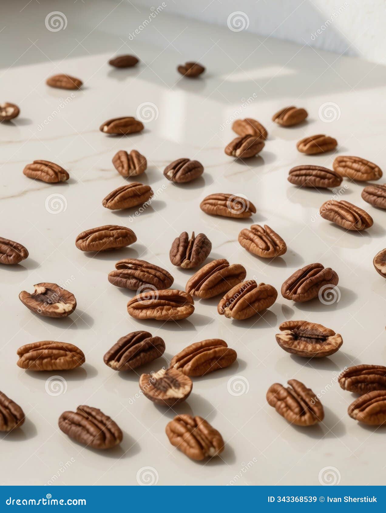 A Collection of Pecan Shells and Walnuts Lying Next To Each Other on a ...
