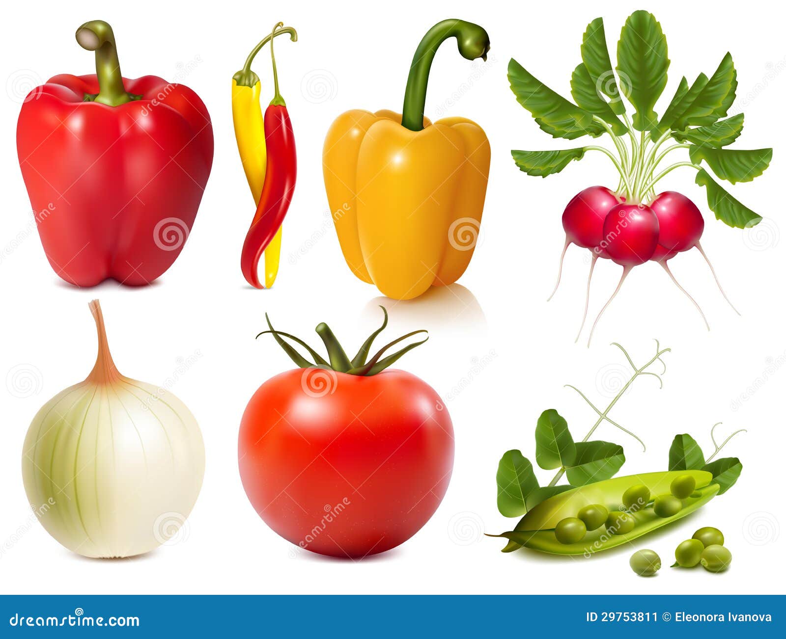 Collection of Vector Vegetables Stock Vector - Illustration of food ...