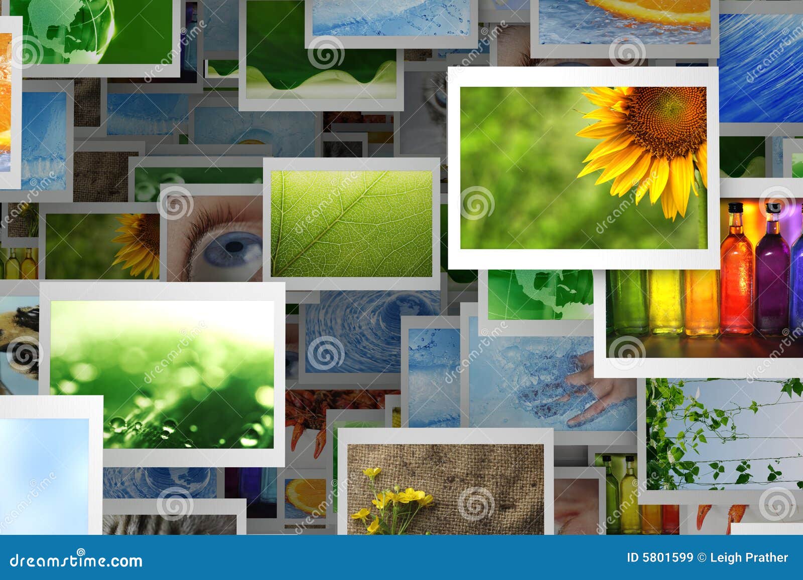 Collection of photos stock illustration. Illustration of graphic - 5801599