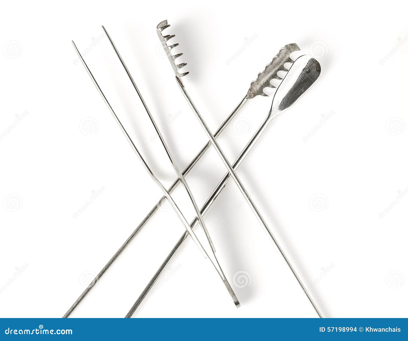 Collection of Plant Tissue Laboratory Instruments on White Backg Stock ...