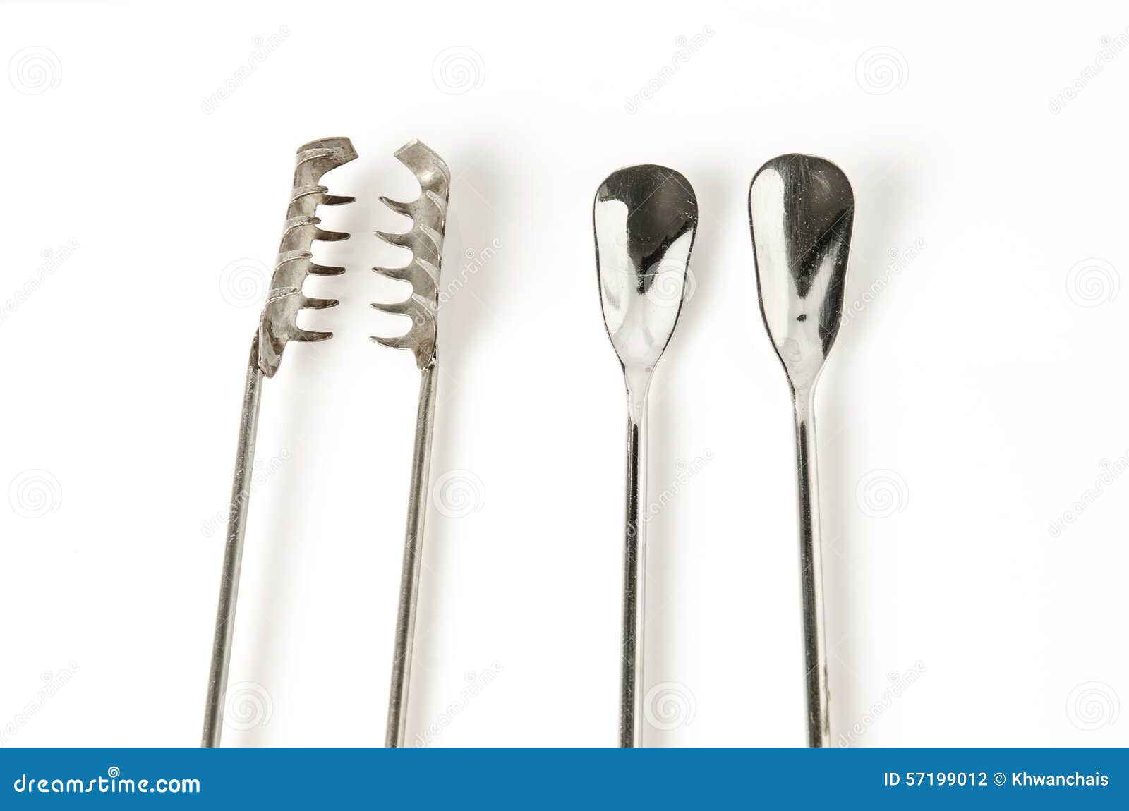 Collection of Plant Tissue Laboratory Instruments on White Backg Stock ...