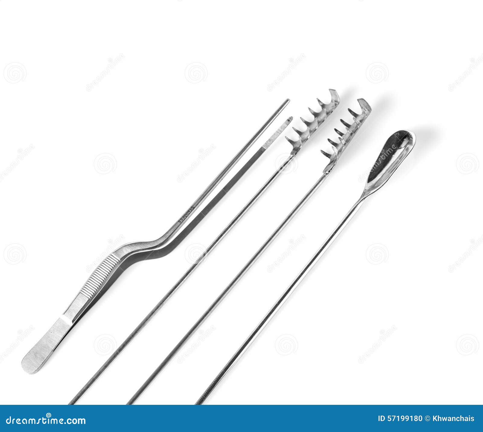 Collection of Plant Tissue Laboratory Instruments on White Backg Stock ...