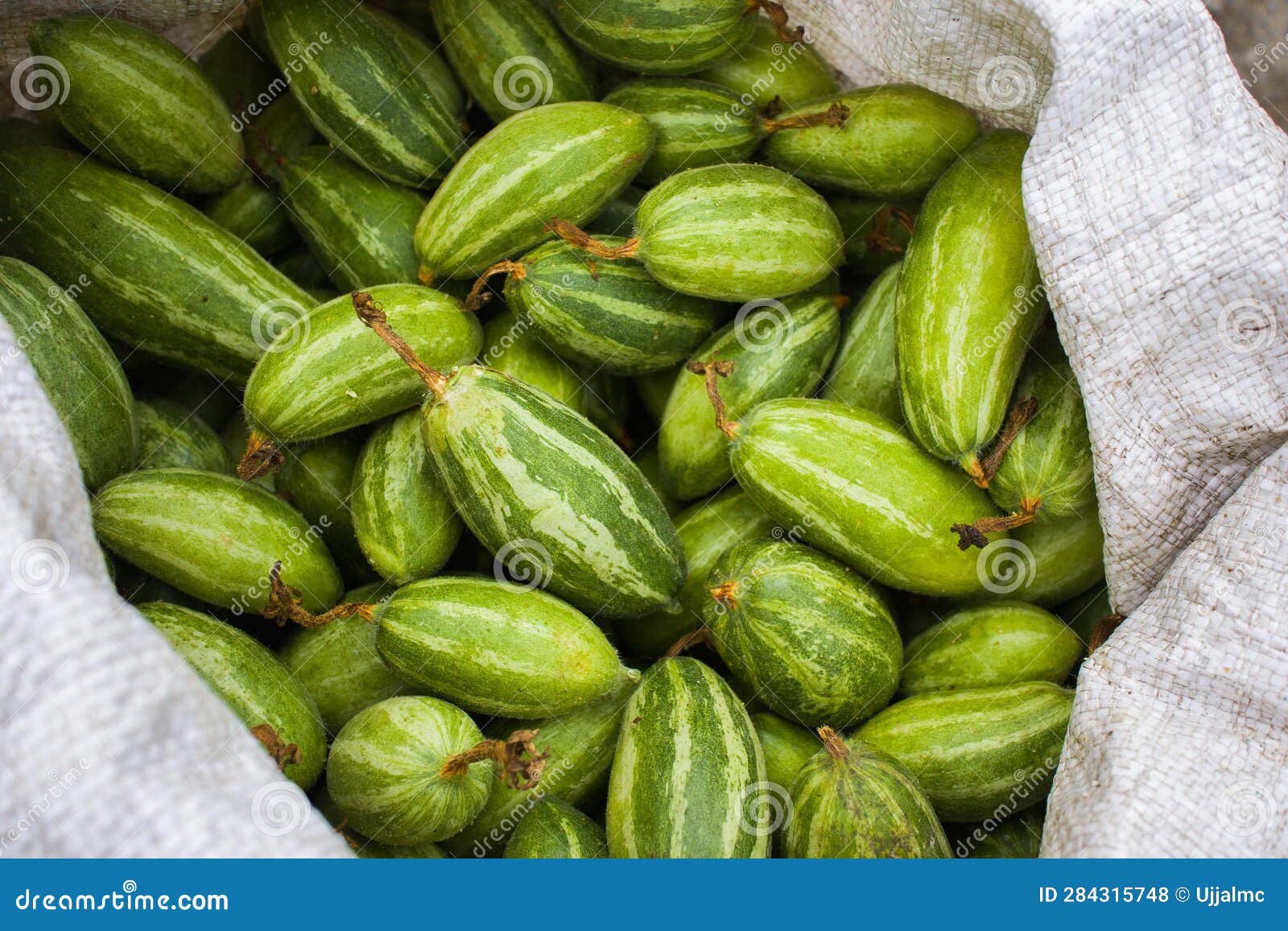 A Collection of Pointed Gourd Stock Photo - Image of cuisine, flower ...