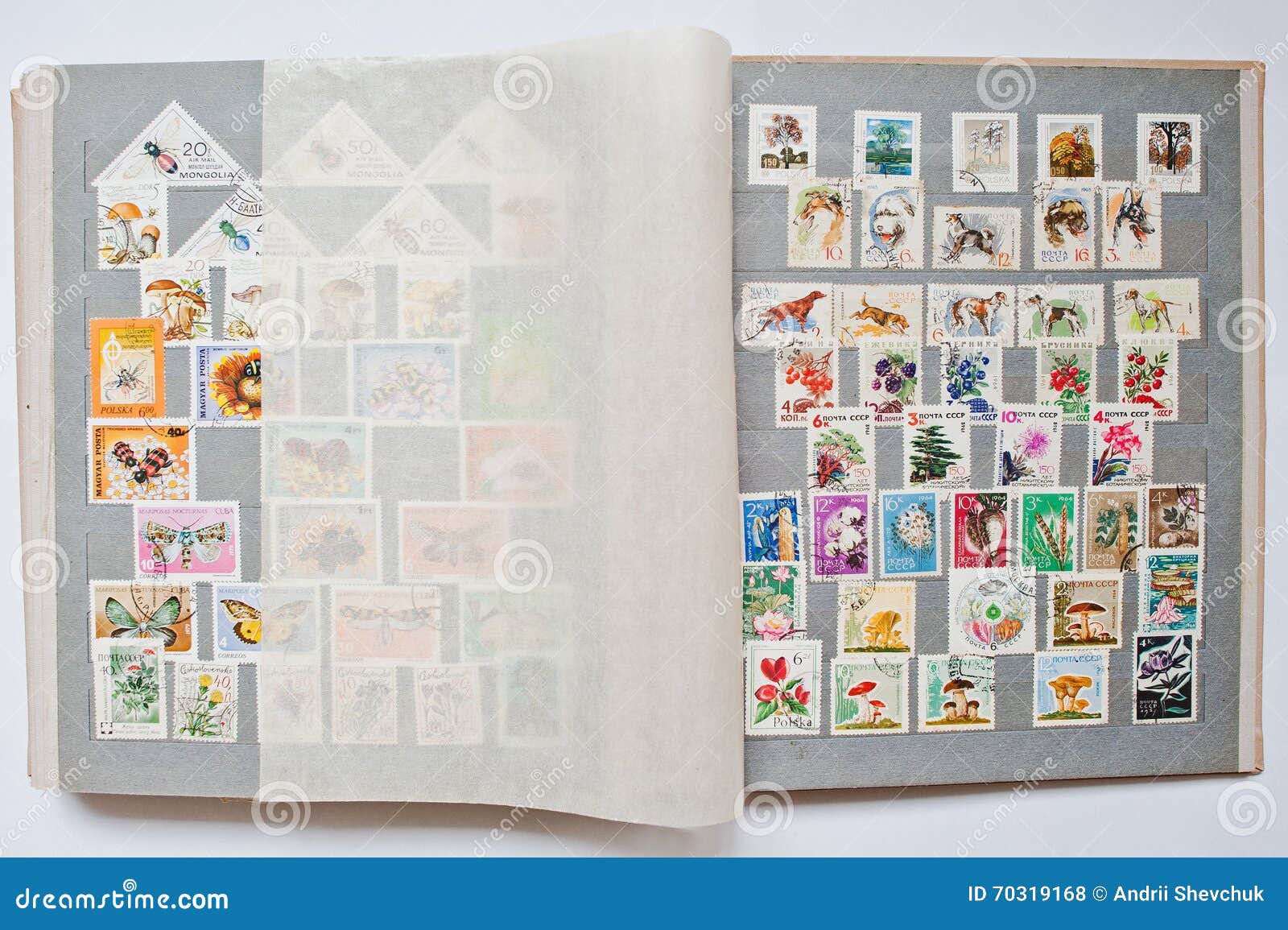 Collection of Postage Stamps in Album from USSR Editorial Stock Photo ...