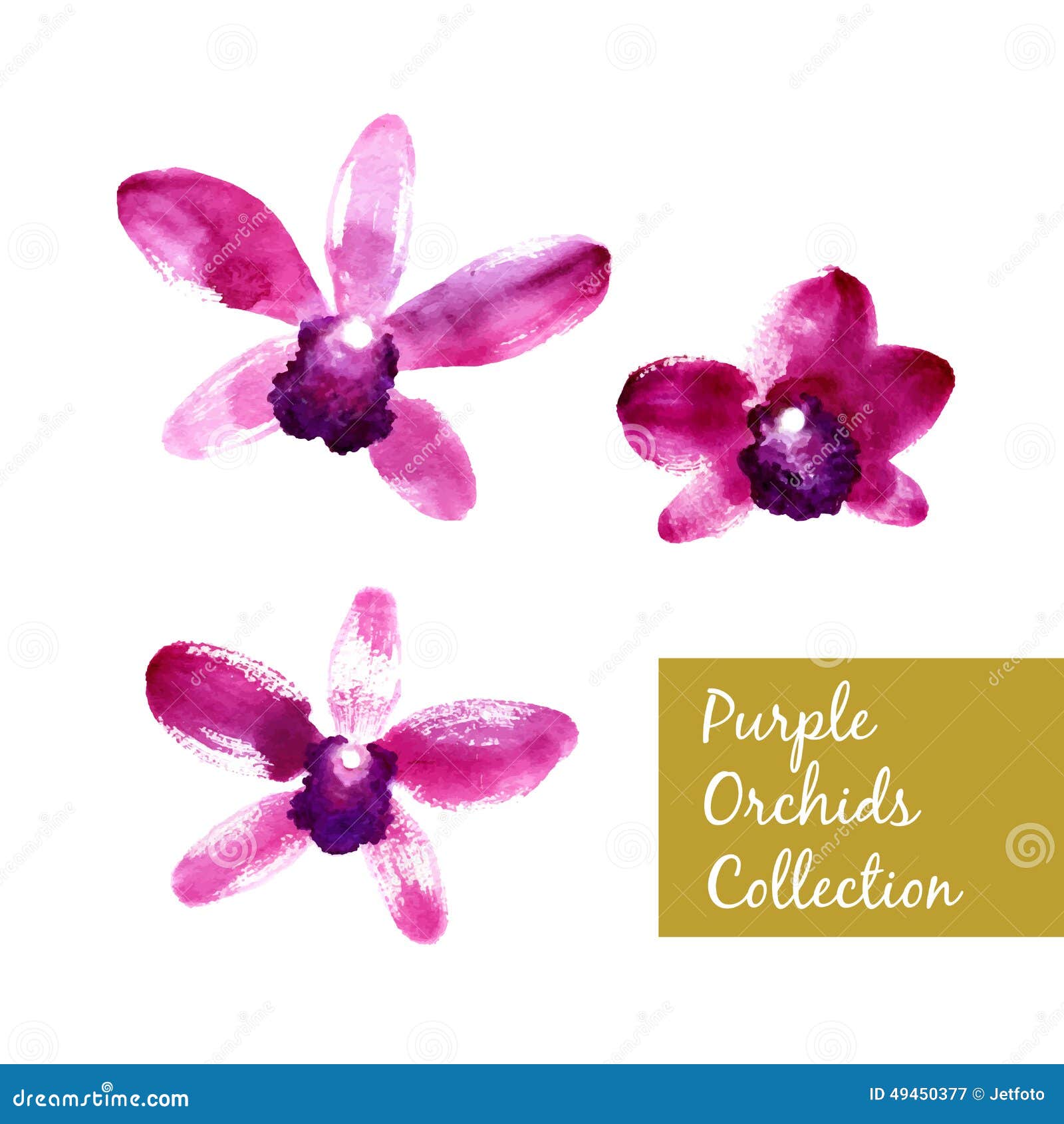 Collection of Purple Watercolor Orchids Stock Vector - Illustration of ...