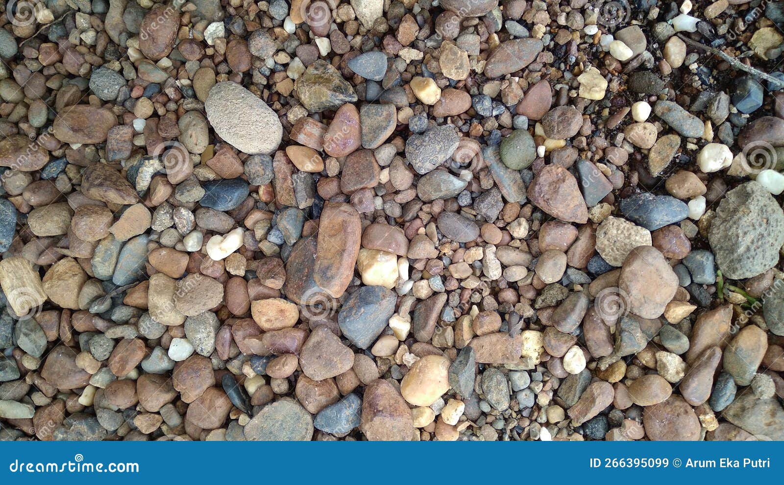 Collection of Random Size River Rocks Stock Image - Image of shapes ...