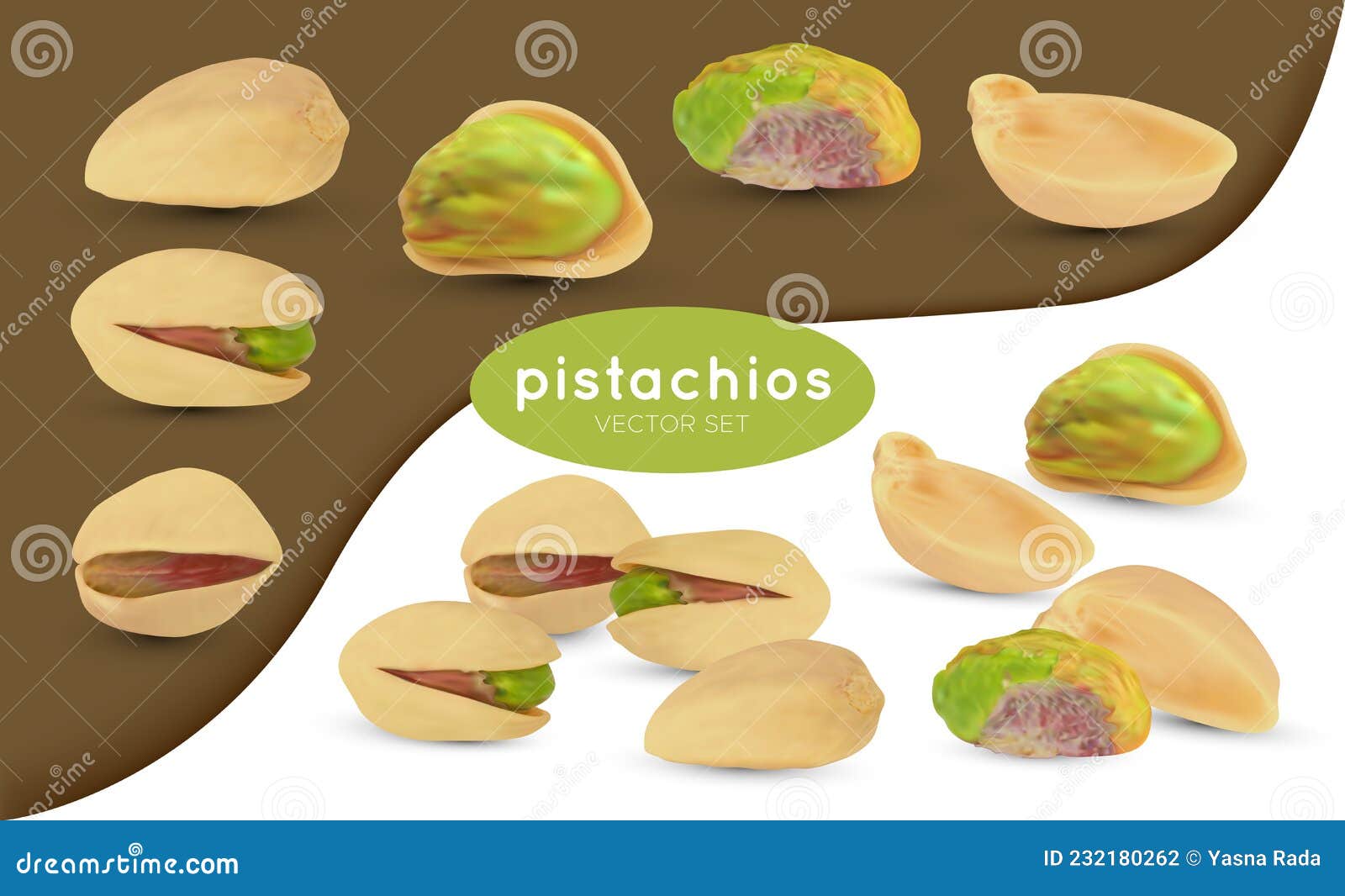 Nuts Realistic Set Cartoon Vector | CartoonDealer.com #97287581