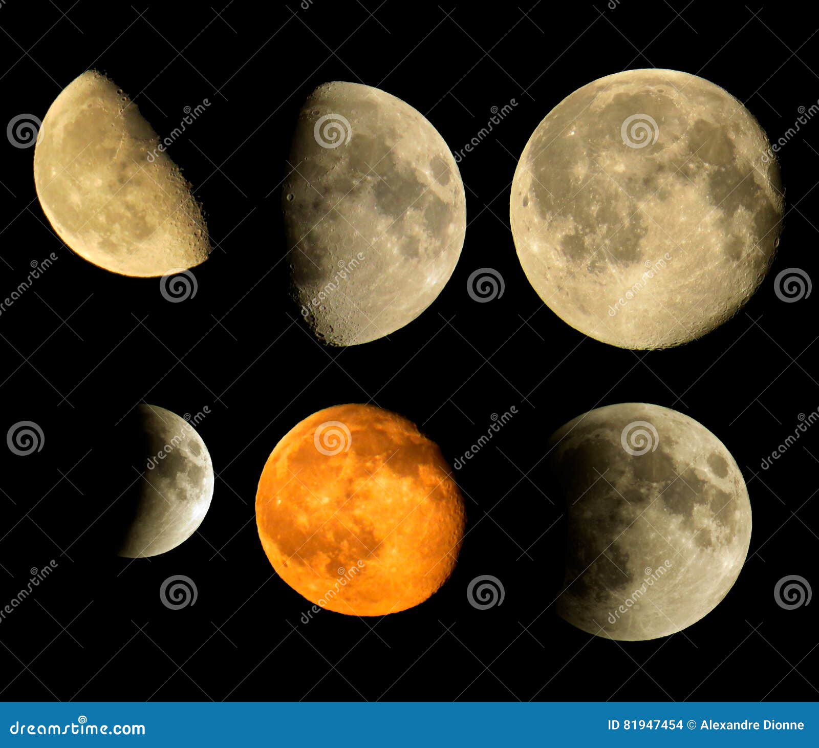 Collection of real moons stock photo. Image of cosmos - 81947454