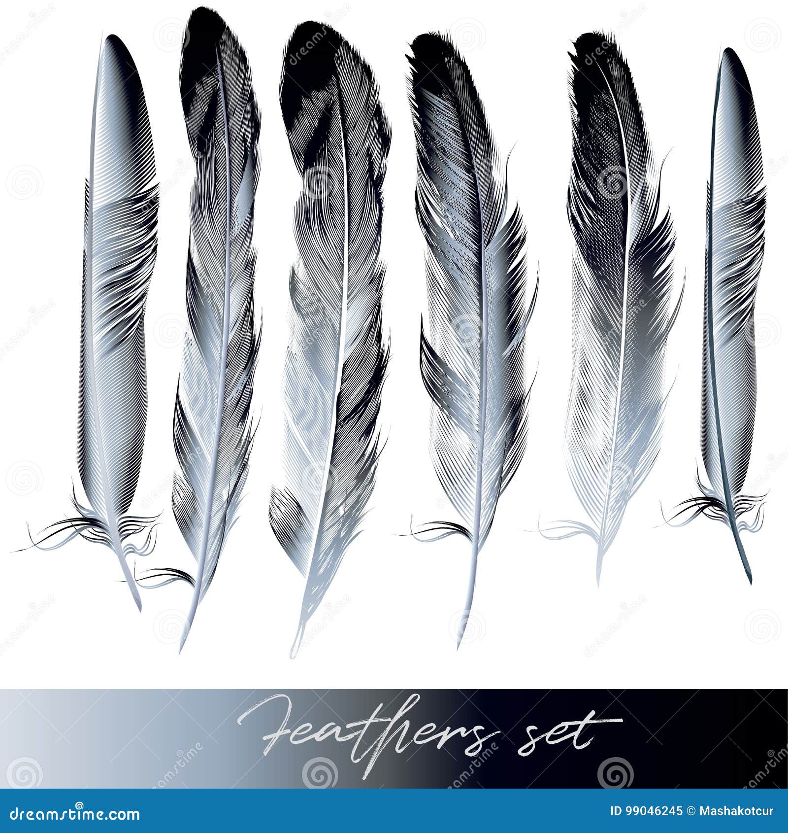Collection of Realistic Dark Feathers Stock Vector - Illustration of ...