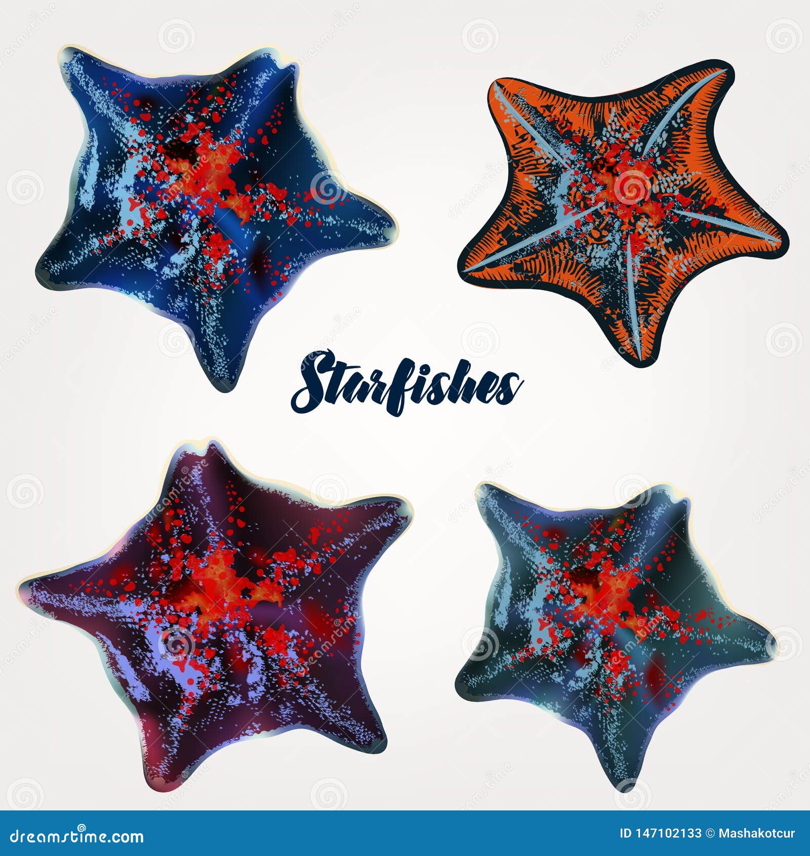 Collection of Realistic Starfishes for Design Stock Illustration ...