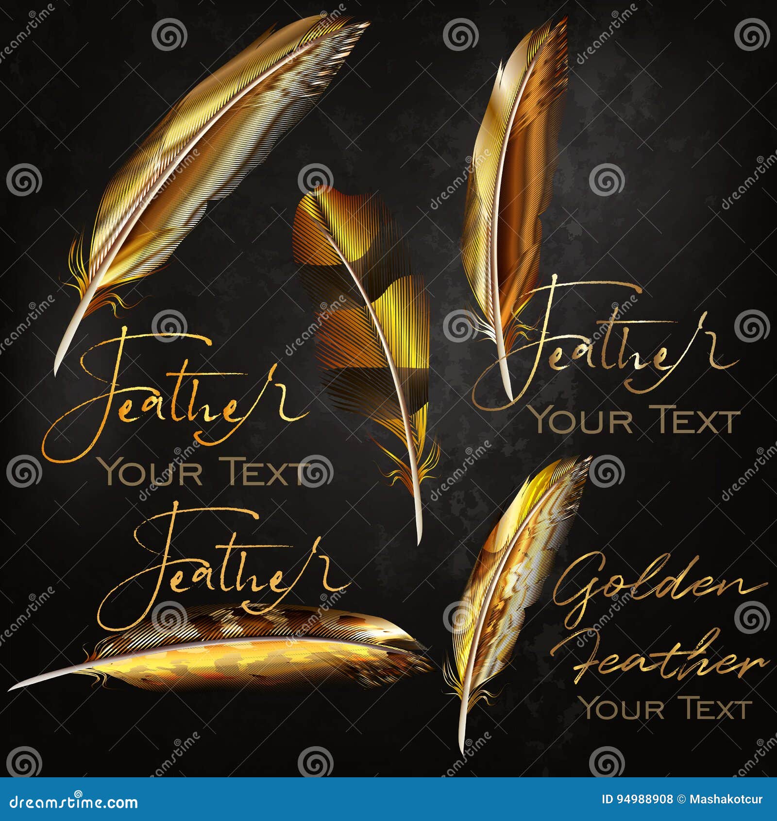 Collection of Realistic White Feathers for Logotypes and Label I Stock ...