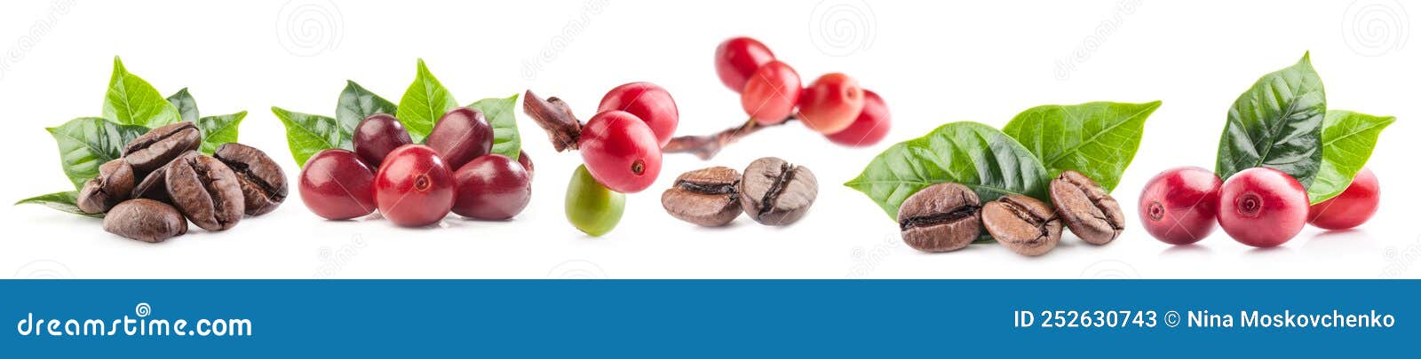 Collection Set Of Beans, Pulses, Peas, Lentils In Glass Jars Stock ...