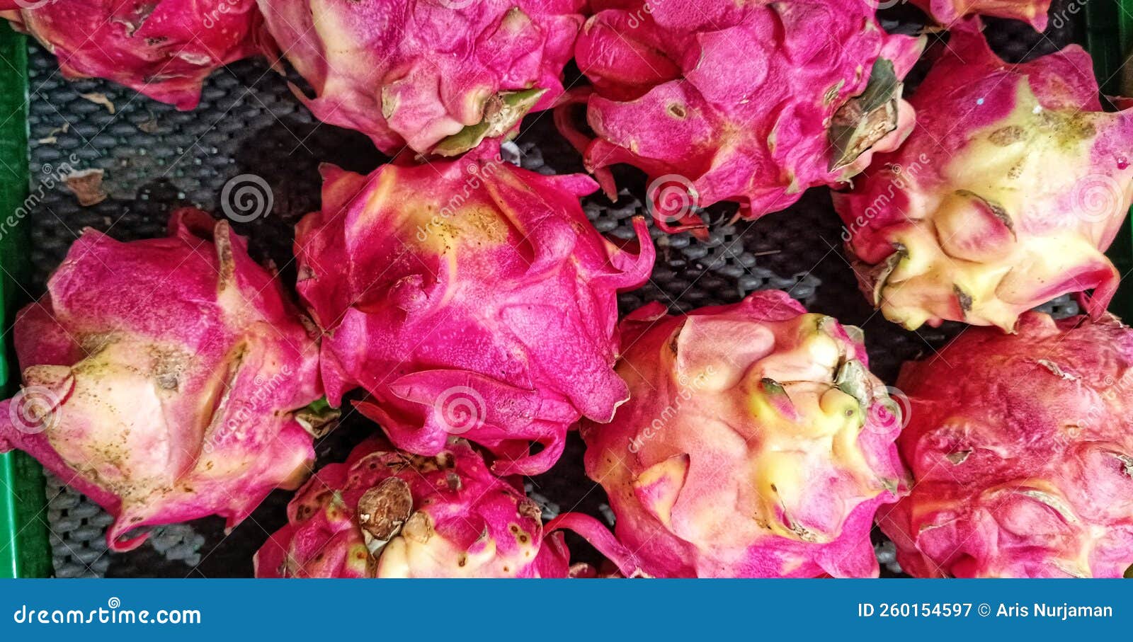 A Collection of Red Fresh Dragon Fruit on a Black Container Stock Image ...