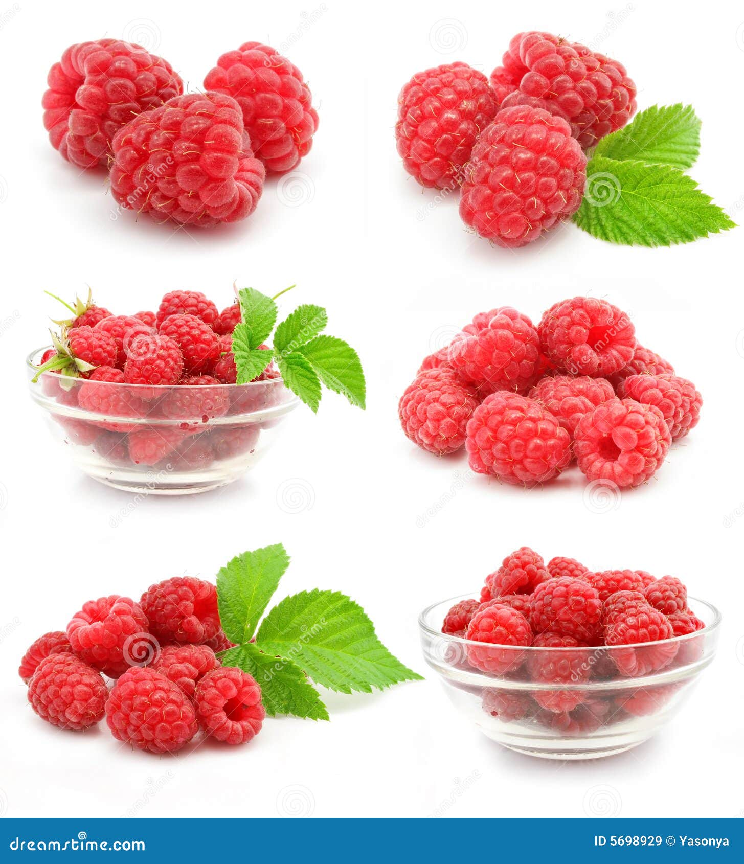 Collection Red Raspberry Fruits Isolated Stock Image - Image of ...