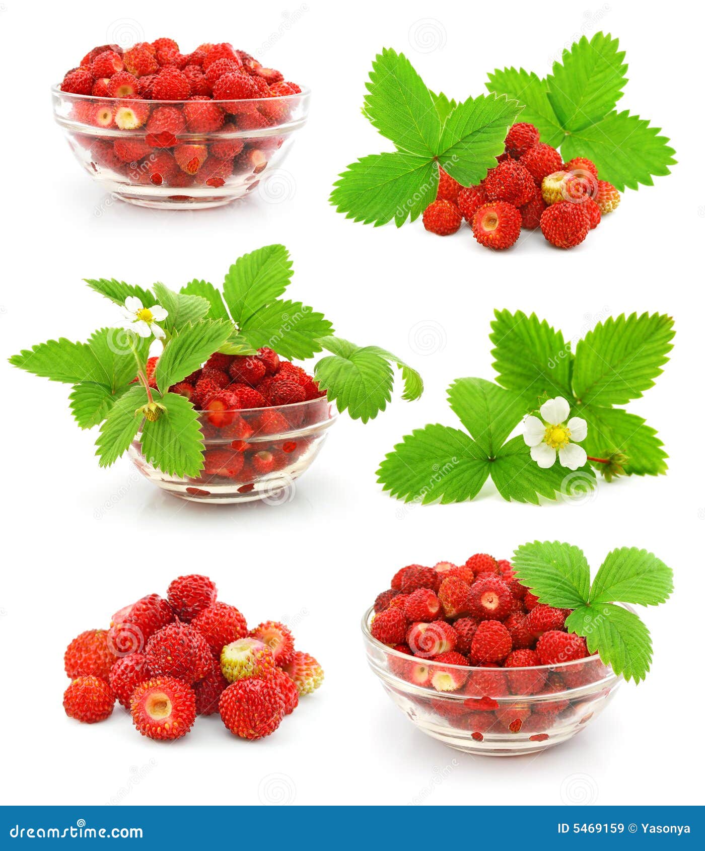 Strawberry Fruits Details In Basket Isolated White Background Royalty ...